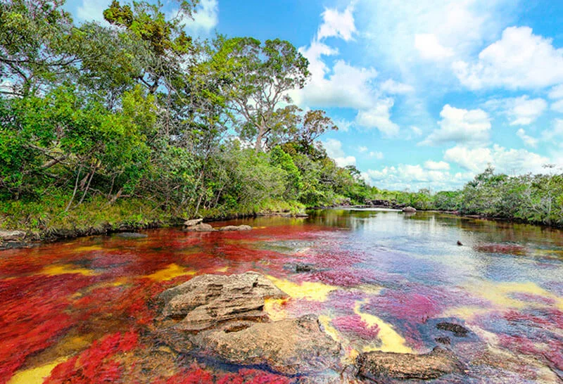 Los mejores parques nacionales en Colombia - Go and Travel